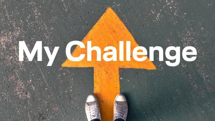 Tausende Lufthansa Miles & More Meilen mit der neuen My Activity ...