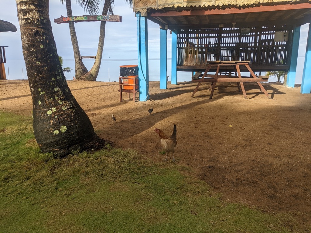 Review: Calilayan Cove Beach Park und Restaurant, Philippinen ...